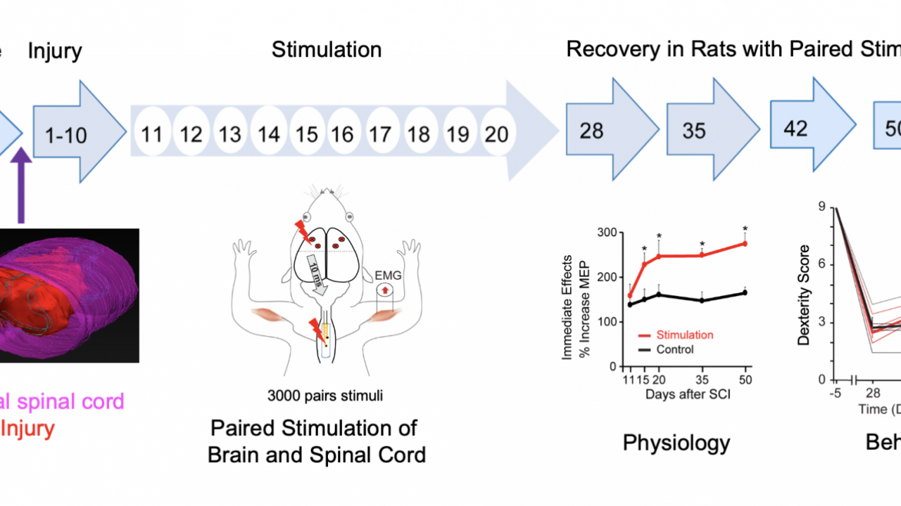 The Movement Recovery Lab Receives 2.6 Million Dollar Grant From the ...