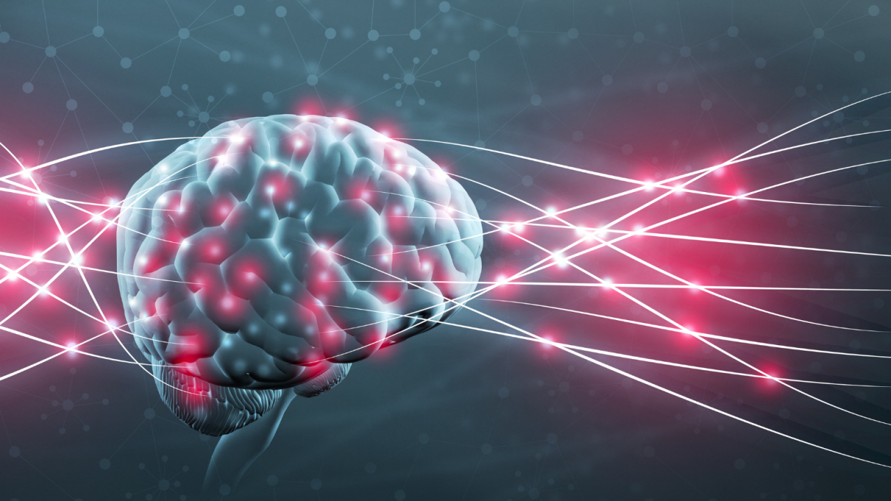 Movement Recovery Lab's transcutaneous cervical vagus nerve stimulation ...