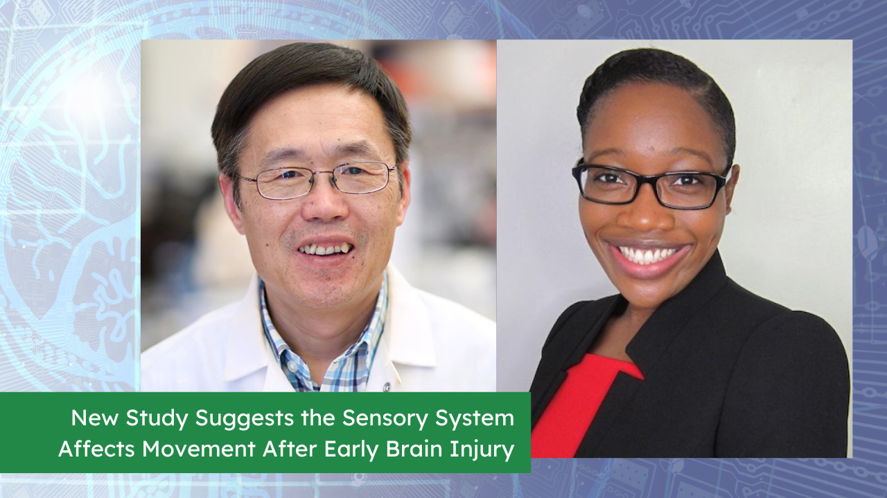 Movement Recovery Lab Published in Developmental Neuroscience ...