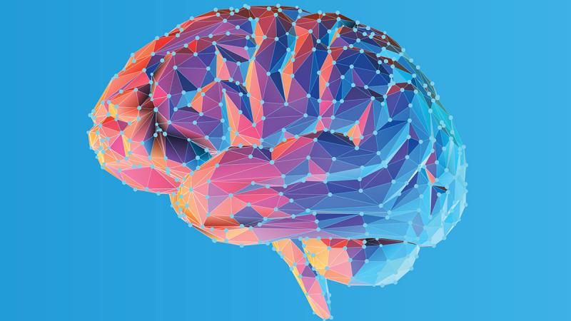 Cerebral Palsy Diagnosis & Treatment Information | Weinberg Family ...